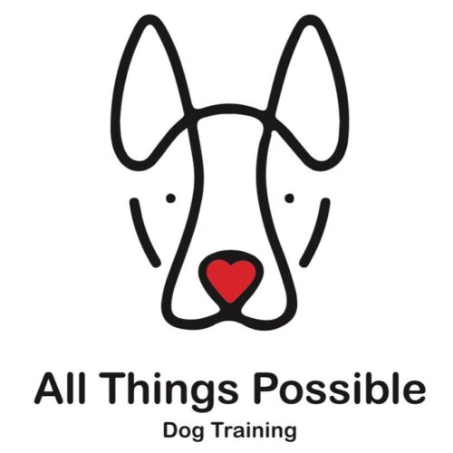 Community Spotlight - All Things Possible-Dog Training - Sweetwater ...