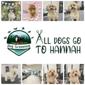 Community Spotlight - All Dogs Go To Hannah - Sweetwater Valley Civic ...